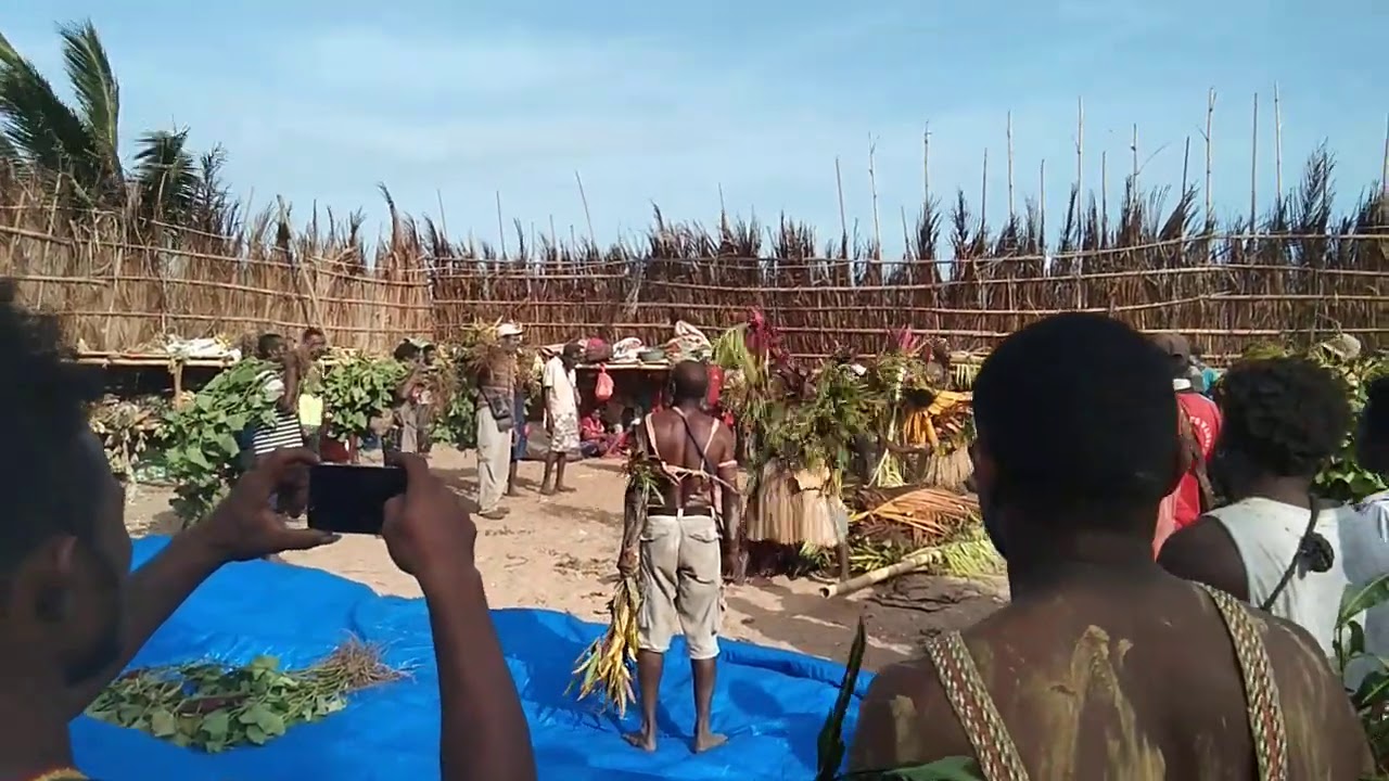 Prosesi adat suku malind berhubungan dengan tanaman wati/Piper ...