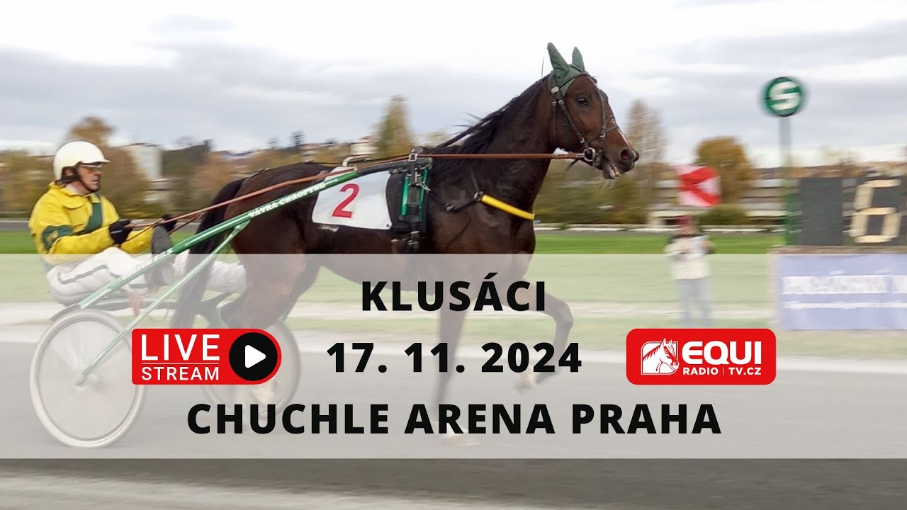 ŽIVĚ 🔴 | klusáci Chuchle Arena Praha – 17. 11. 2024 - YouTube