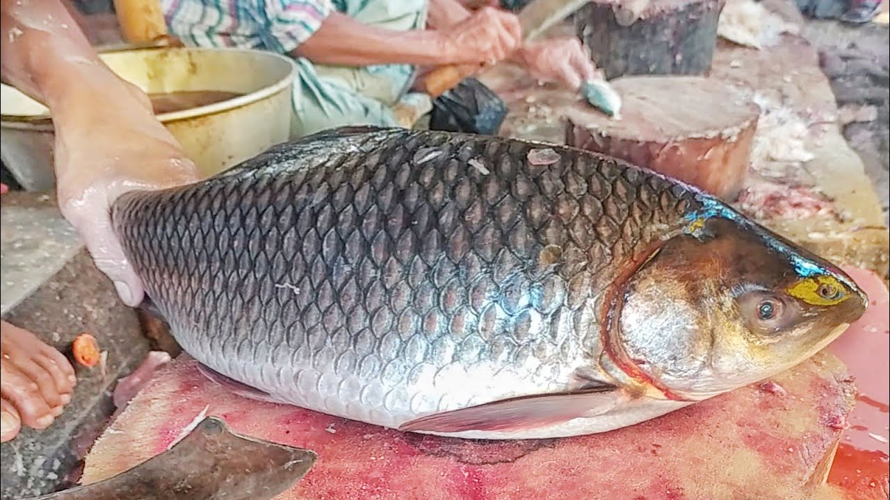 Incredible Precision Rohu Fish Cutting Skills \ Expert Techniques for ...