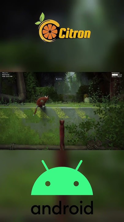 CITRON ANDROID - EJECUTANDO STRAY A 30FPS - YouTube