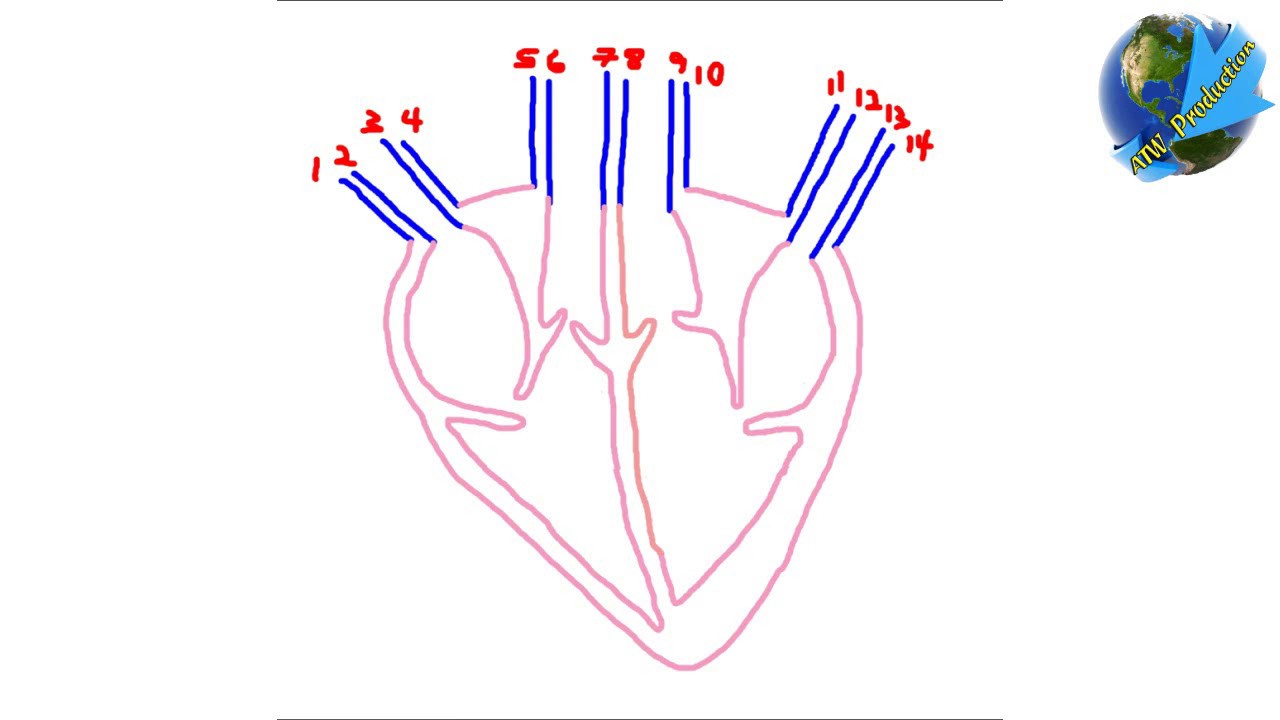 How to Draw Complete 2D Heart - YouTube
