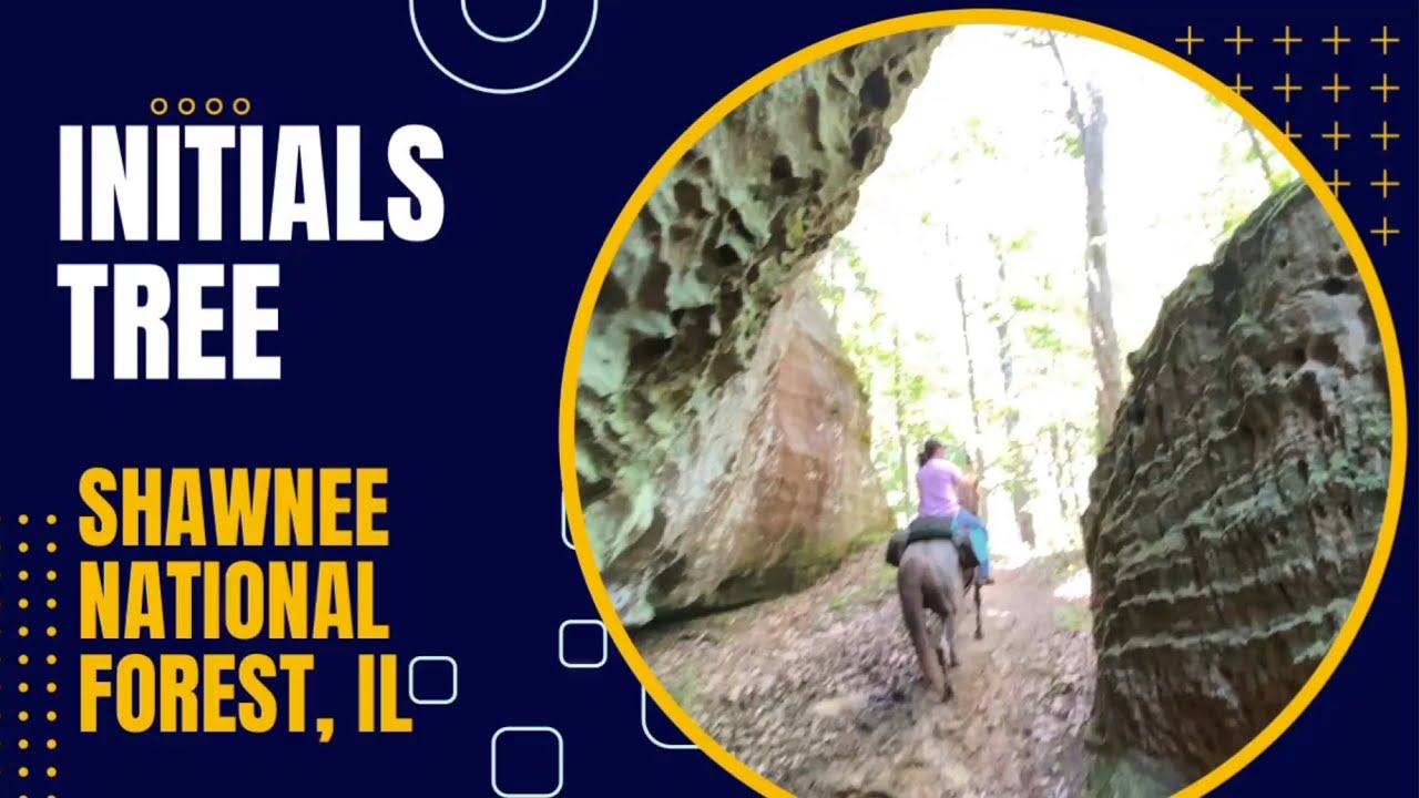 Initials Tree Horse Trail Ride in Shawnee National Forest - YouTube