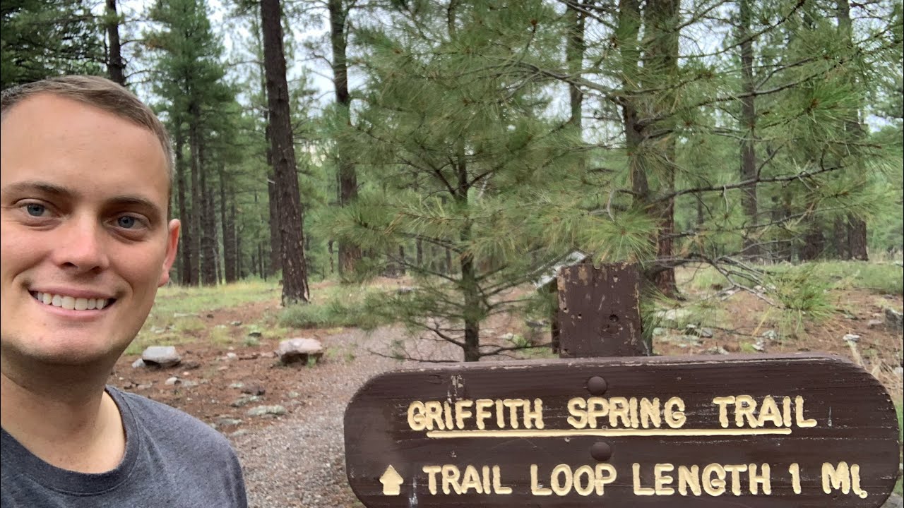 Griffith Springs Trail Forest Hike, Flagstaff AZ - YouTube