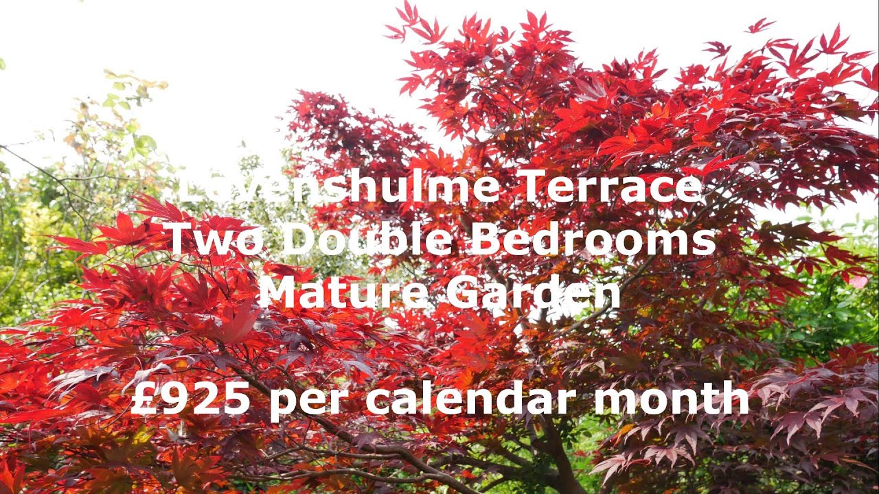 15 fernleigh - YouTube