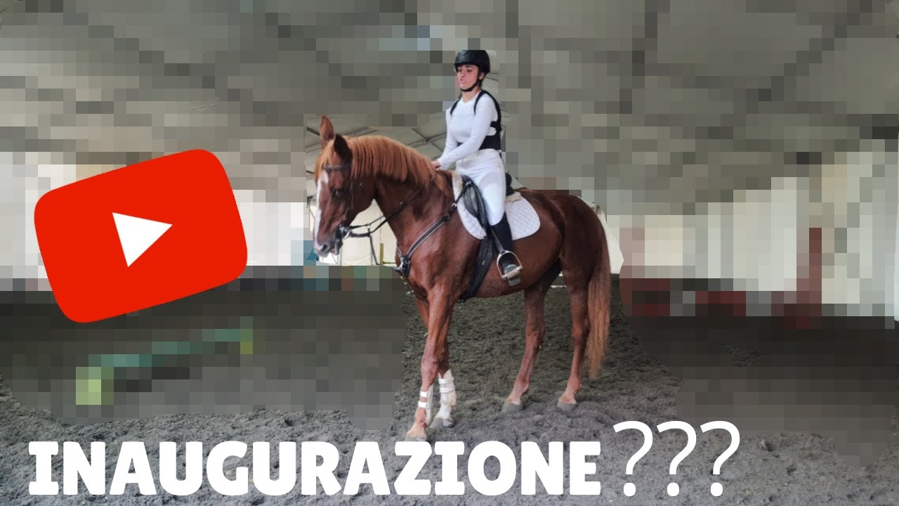 Ho CREATO UN NUOVO CANALE! - Inaugurazione del nuovo maneggio coperto ...