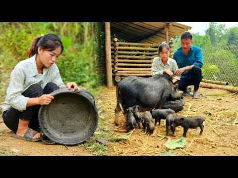 Love and connection : Ly Thi Man gave me a gift on the occasion of my sow giving birth