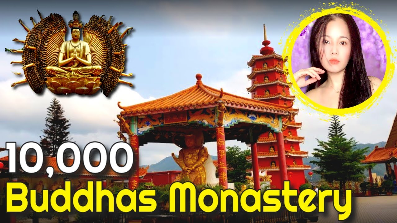 Hong Kong travel |10,000 Buddha Monastery ||SHY DY - YouTube