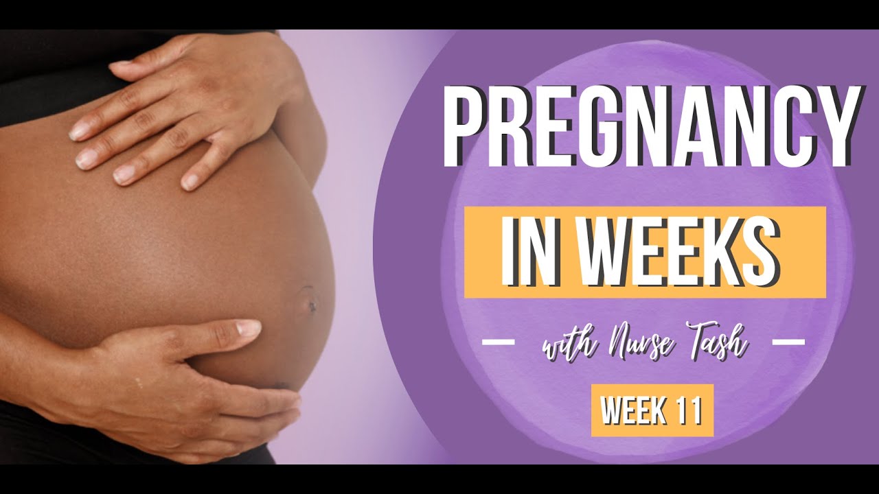 PREGNANCY IN WEEKS 11┃ WEEK-BY-WEEK┃WEEK 11 OF PREGNANCY┃With Nurse ...