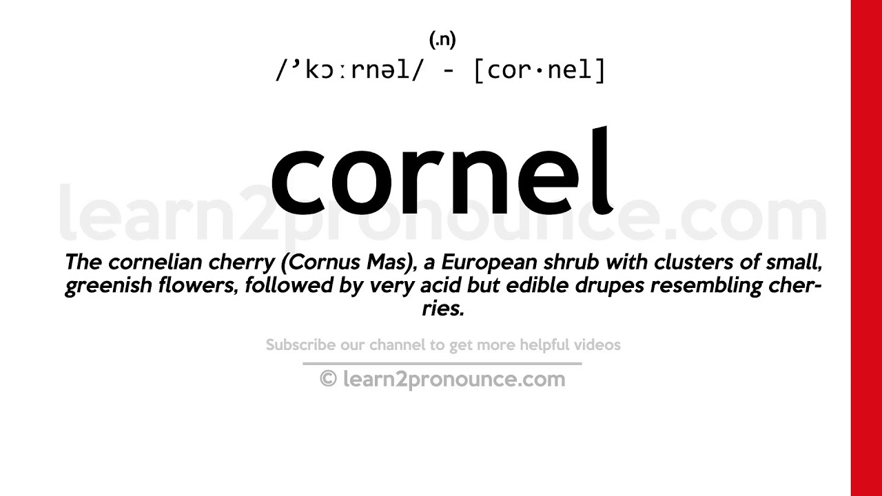 Pronunciation of Cornel | Definition of Cornel - YouTube
