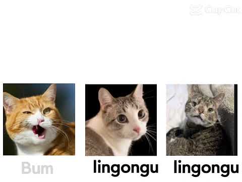 Kitty ling gamg gulli gulli