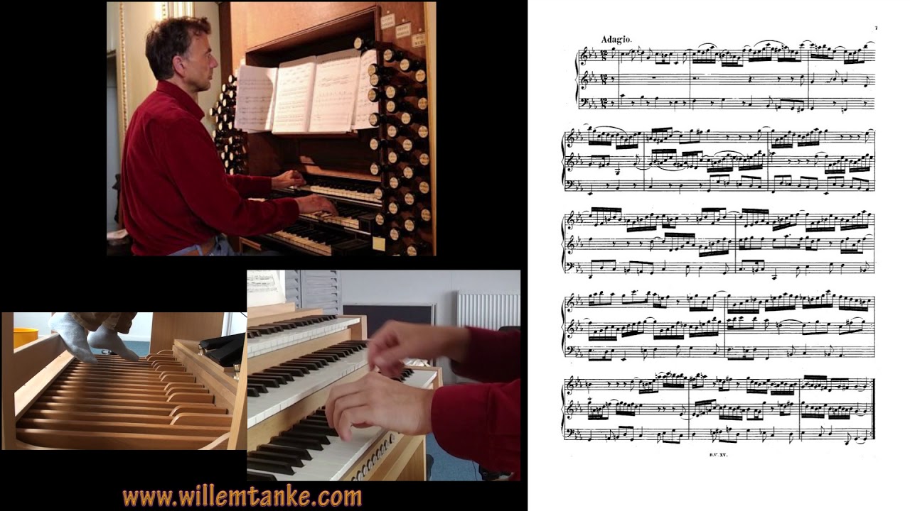 J.S. Bach - Trio Sonata in E-flat major BWV 525, second movement with ...