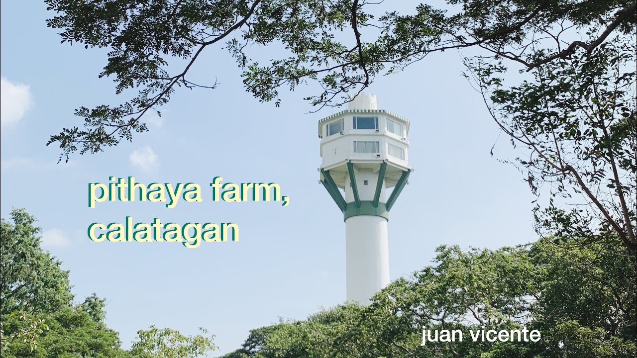 pithaya farm escape 🌳⛲️ // Batangas, Philippines - YouTube