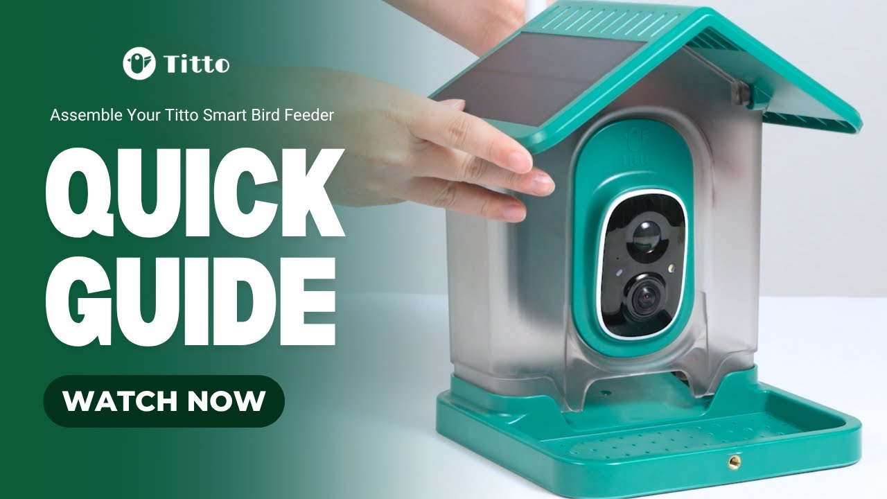 How to Assemble Your Titto Smart Bird Feeder: Easy Steps Guide - YouTube