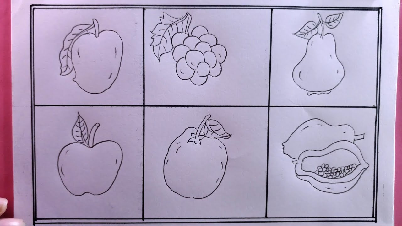 How to Draw 6 Fruits Step by Step/Fruits Drawing Easy - YouTube