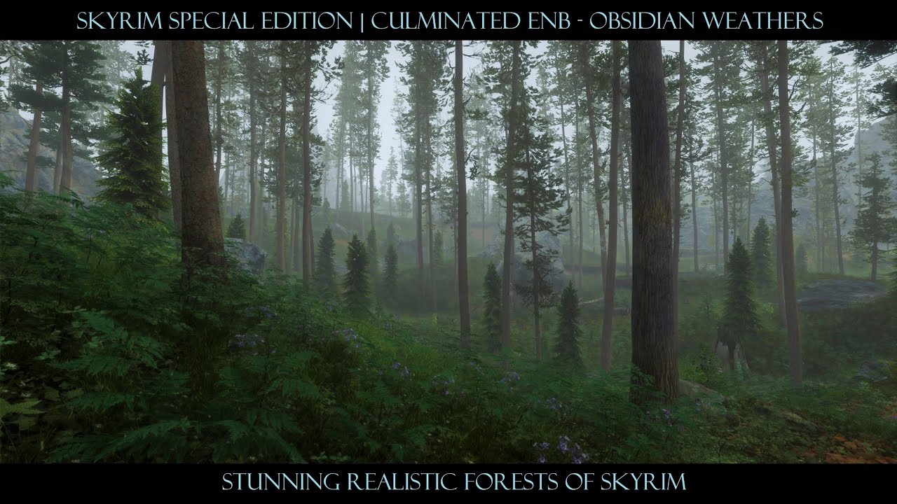 SkyrimSE Modded-4K| Gorgeous Realistic Forests | Culminated ENB ...