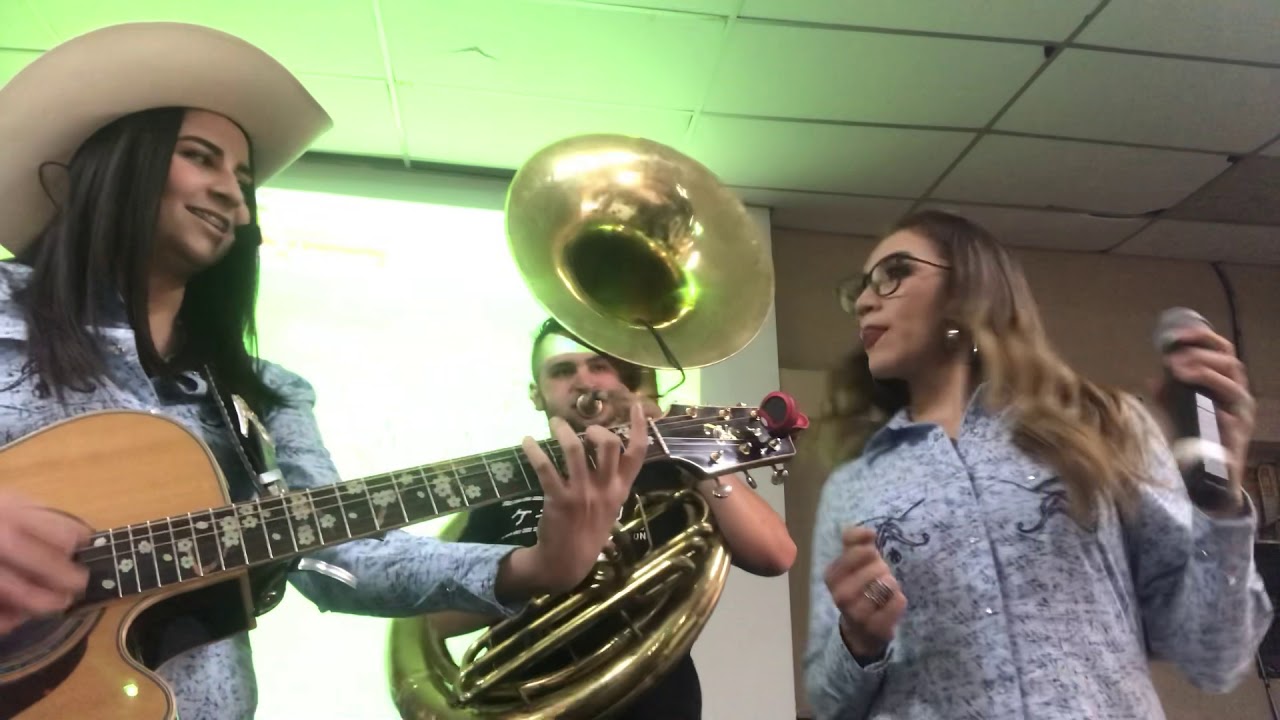 Paz en este amor/Pajarillo - Shey Band - YouTube