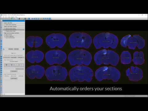 Overview of BrainMaker - YouTube