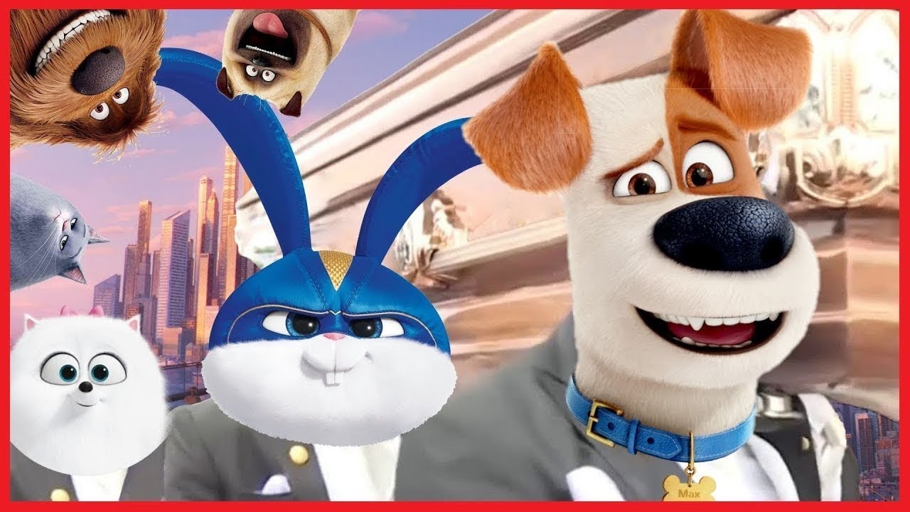 The Secret Life Of Pets - Coffin Dance Song COVER - YouTube
