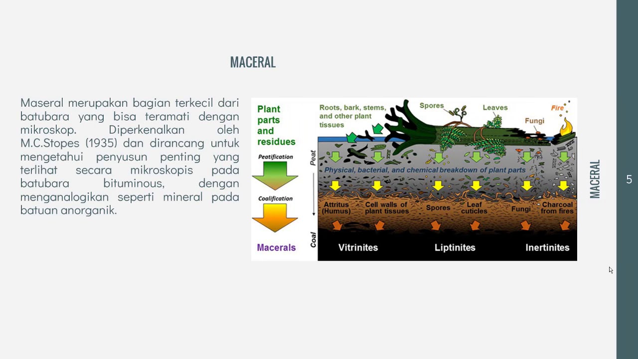 Litotype dan Maseral Batubara-03071281823019_M. Ridho Naufalwan - YouTube