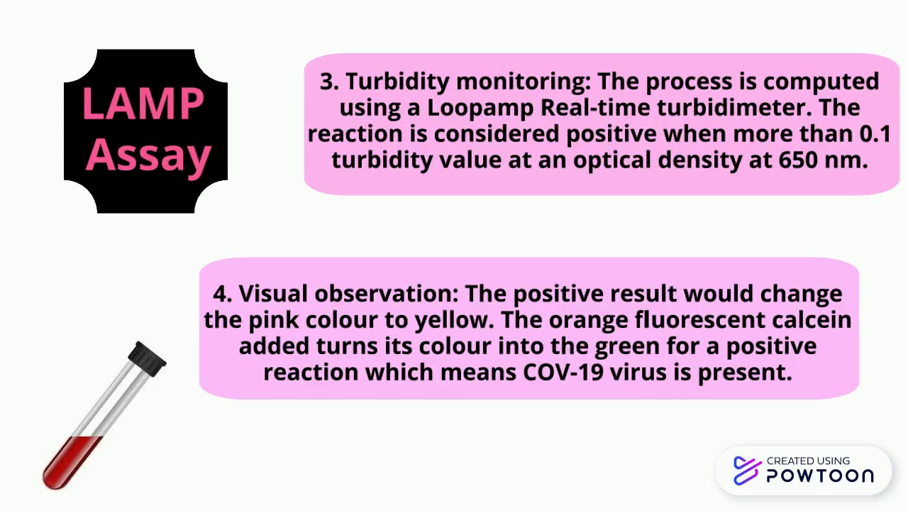 LAMP Test Procedure - YouTube