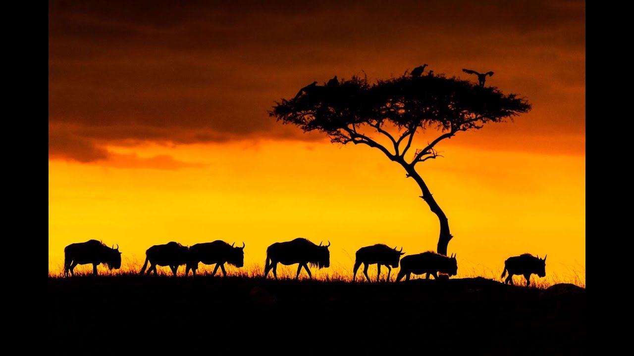 Amazing Facts about Sunset | Things you didn't know about sunset ...