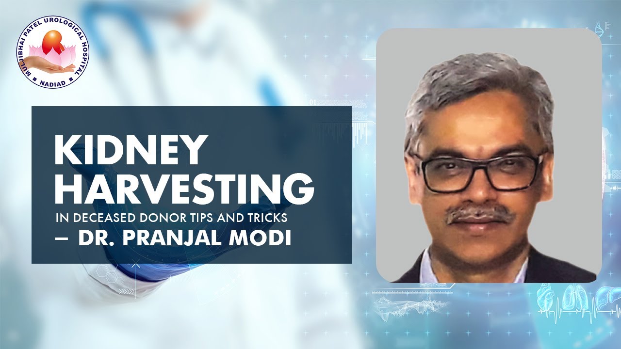 Kidney harvesting in deceased donor Tips and Tricks - Dr Pranjal Modi ...