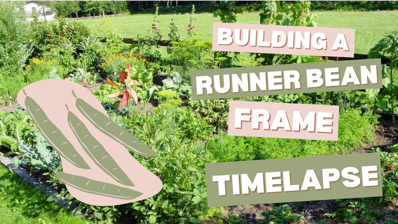 Runner Bean Frame Build Timelapse | Quick & Easy Gardening at the ...