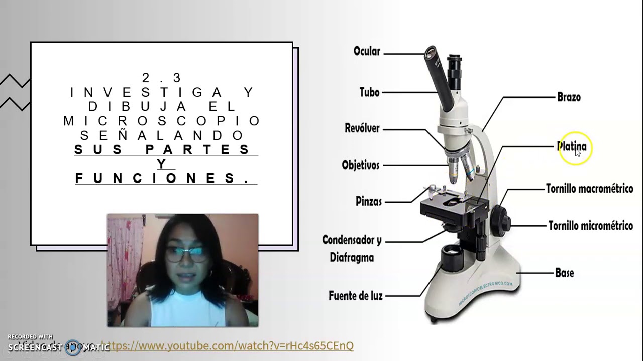 Partes De Um Microscopio NEW * Actividad Para Etiquetar: Partes De Un