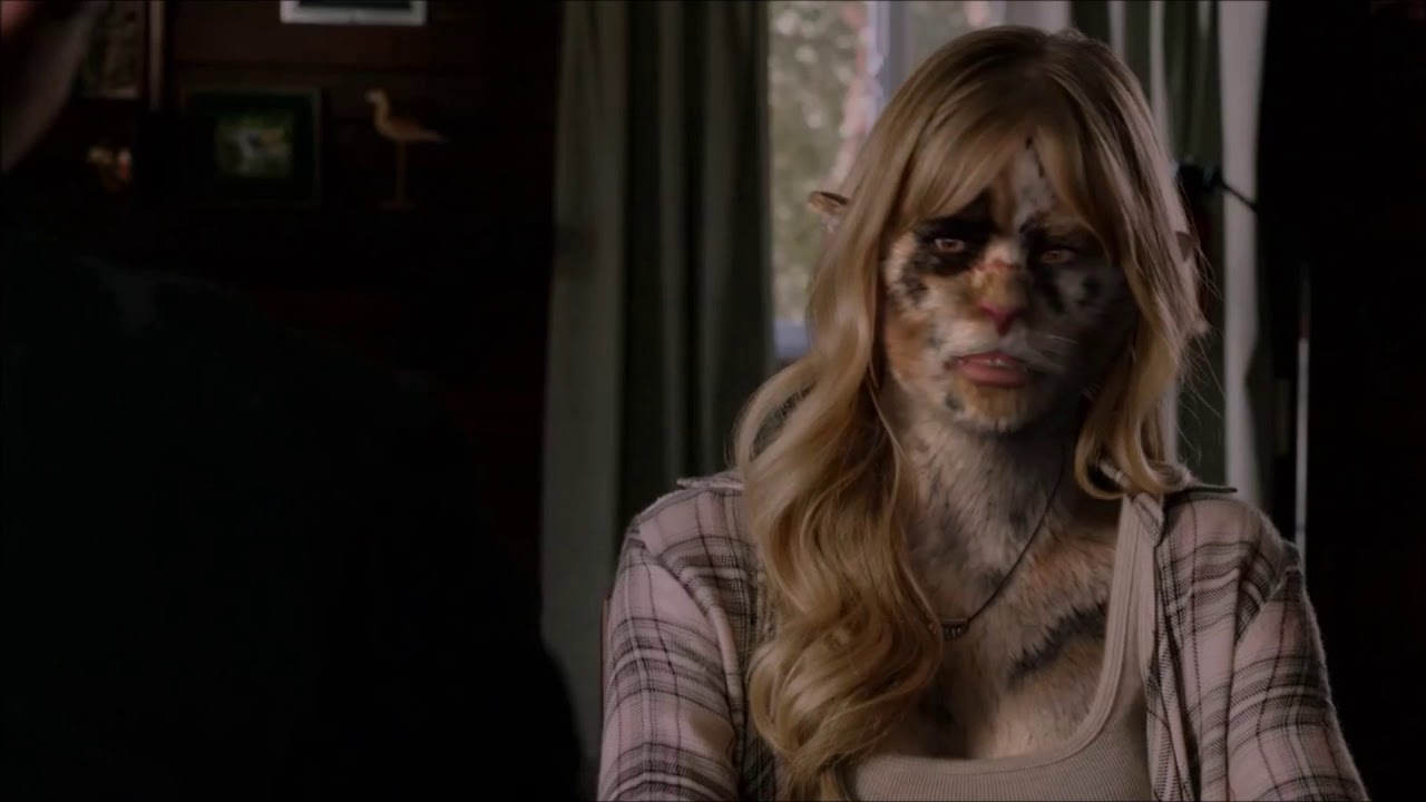 TF Woman Cat Morph 3 - YouTube