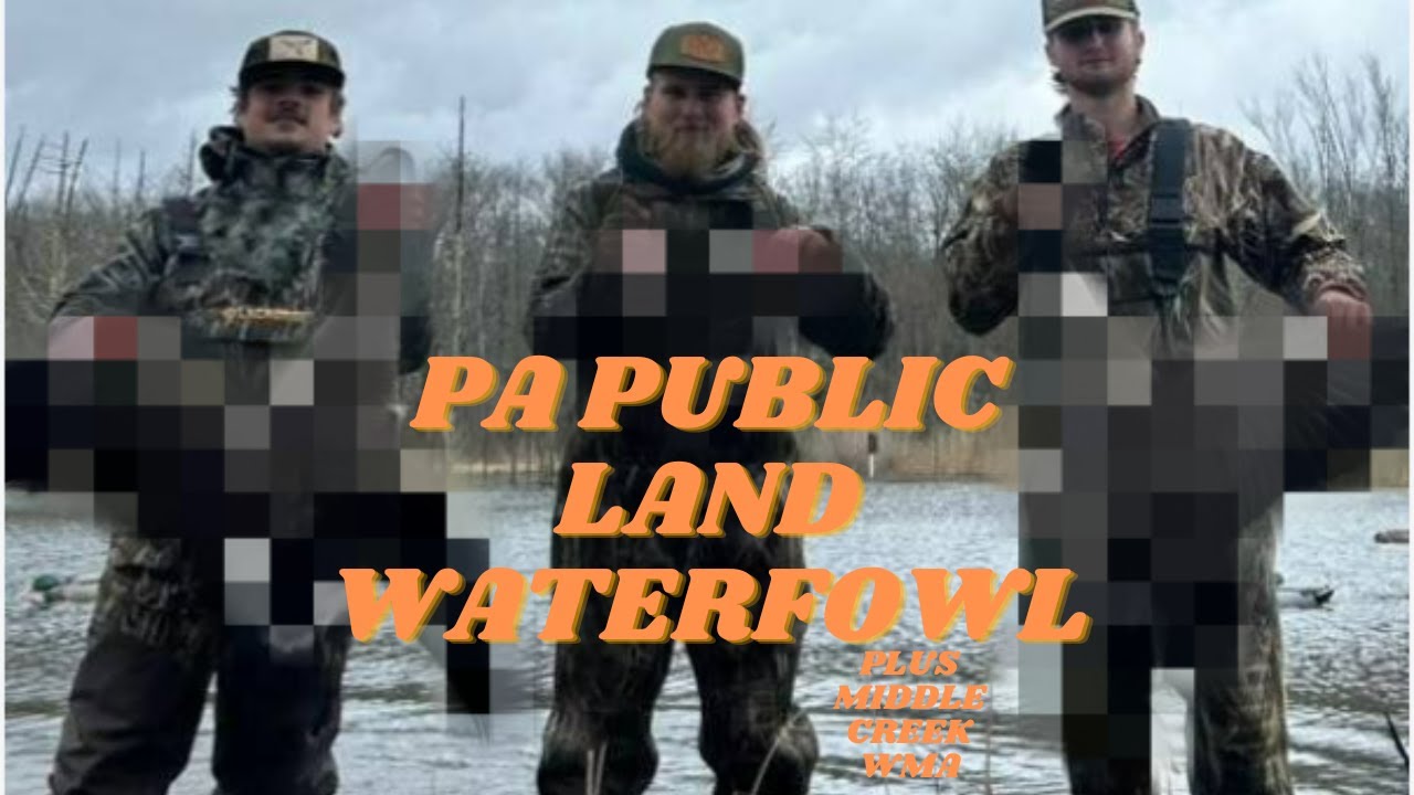 MIDDLE CREEK WMA AND PA PUBLIC LAND WATERFOWL HUNT! - YouTube