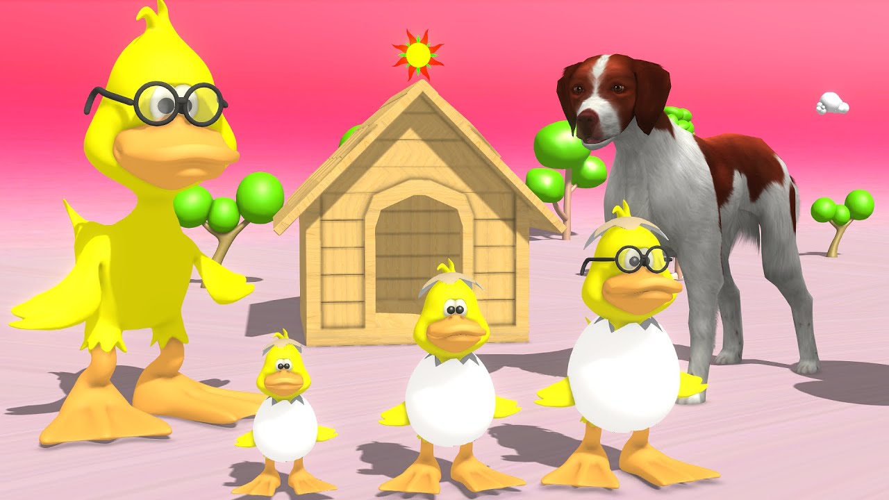 Best of Little Quacker duck with eggs | Falling rain A Dog help a duck ...