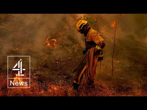 Europe wildfires: Flames just kilometers from Bordeaux