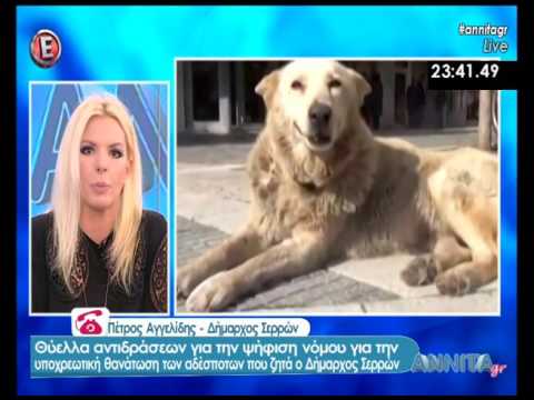 Ο ΠΕΤΡΟΣ ΑΓΓΕΛΙΔΗΣ ΣΤΗΝ ΑΝΝΙΤΑ ΠΑΝΙΑ - YouTube