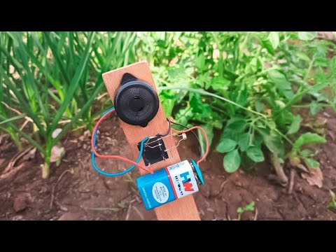 How to make security alarm using LDR // LDR Project Ideas // LDR ...