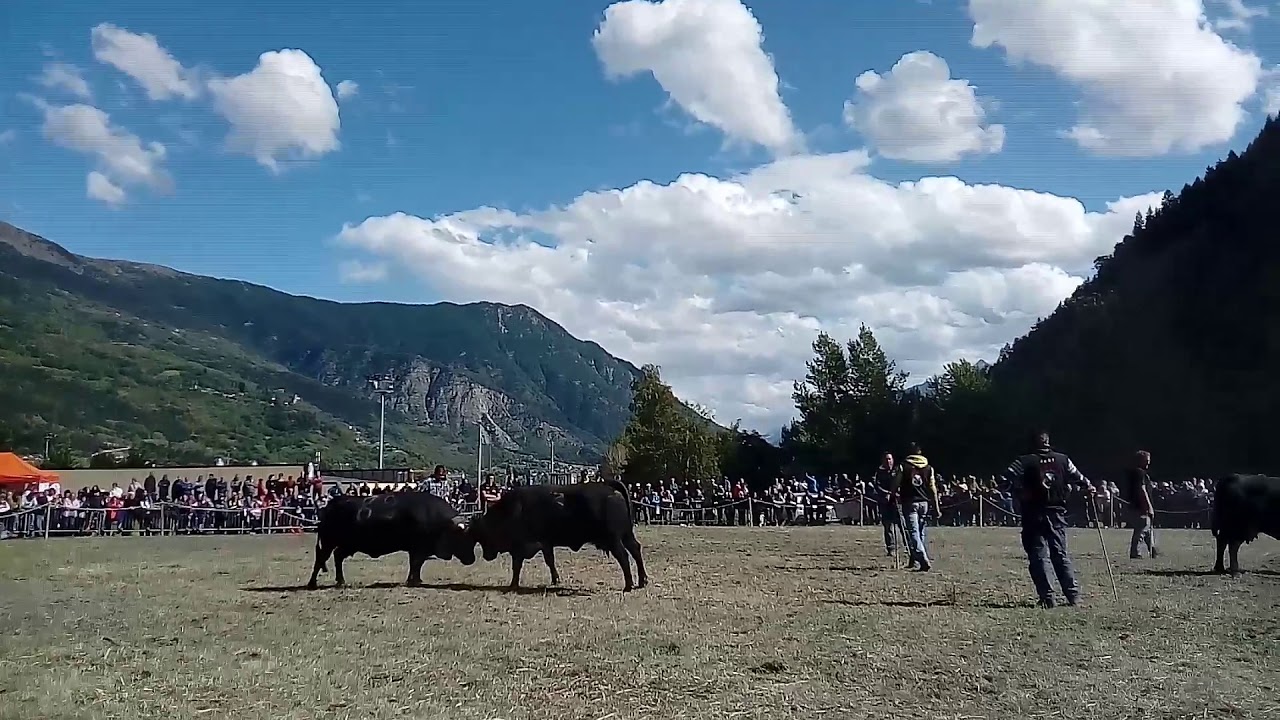 Volget Jean Pierre classifica Vipère alla Finale Regionale. Morgex 16 ...