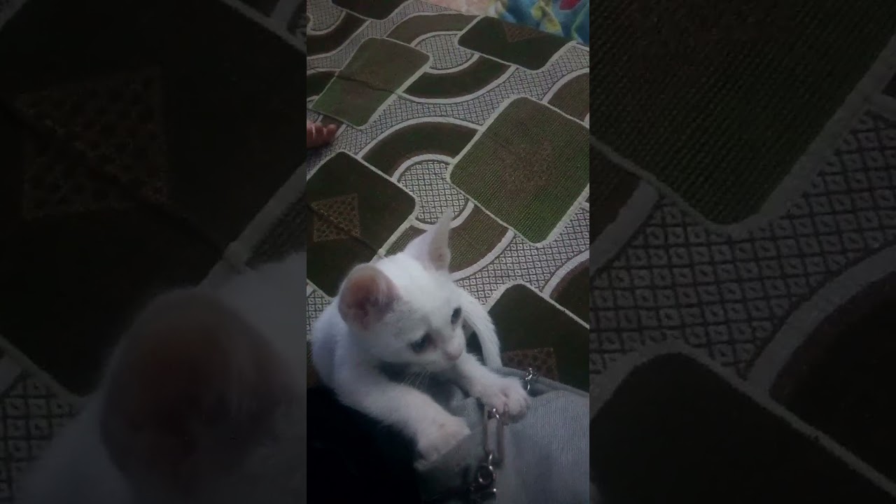 hhhhhhhhhhh - YouTube