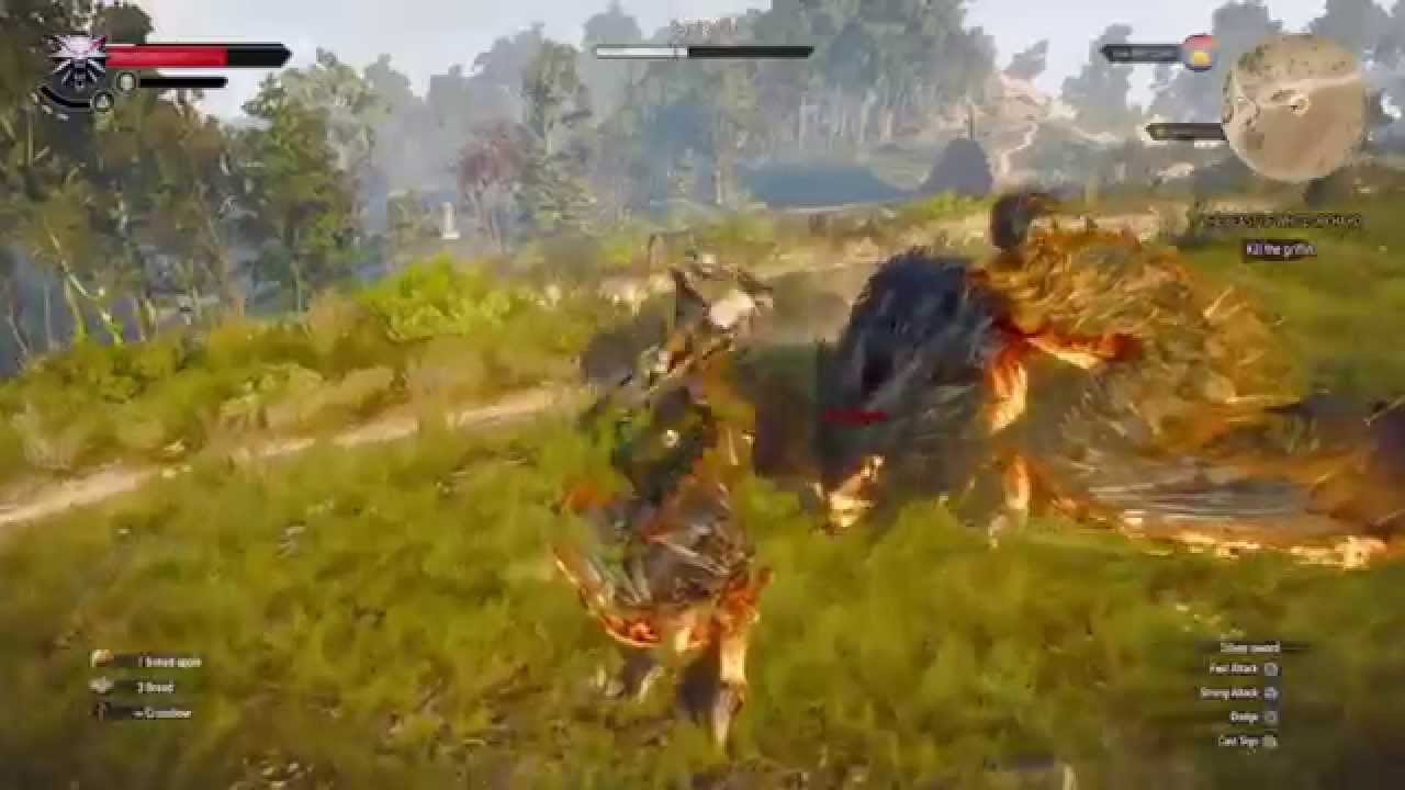 The Witcher 3: Wild Hunt | Geralt of Rivia vs. Royal Griffin - YouTube