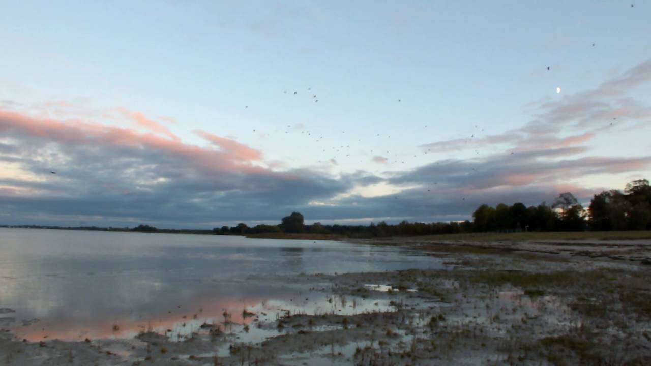 Abendstimmung am Strand von Greifswald / Eldena - YouTube