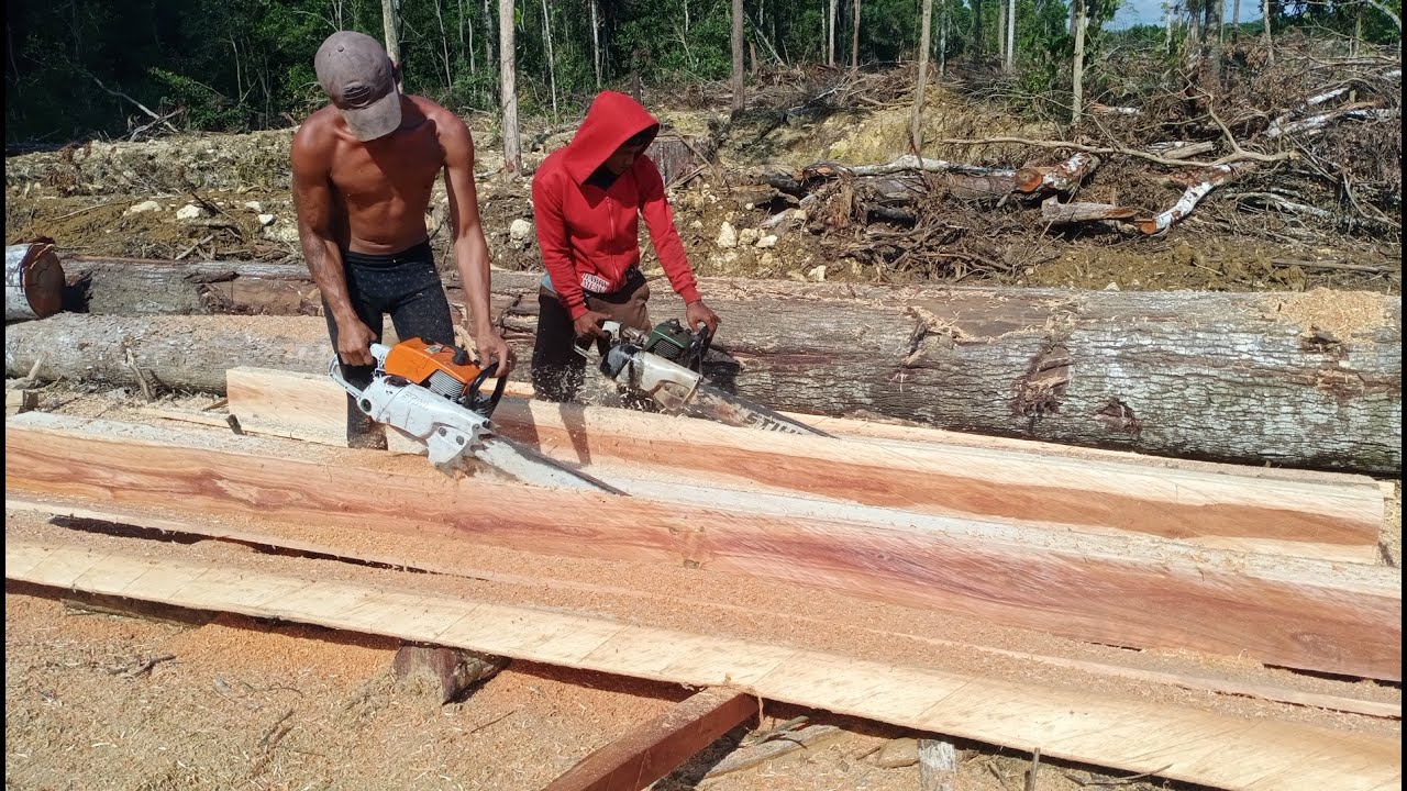 Original STIHL vs FAKE (Rakitan) / Adu Cepat Membuat Papan - YouTube