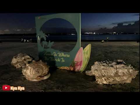 Danga Bay Beach - Night View - JOHOR BAHRU - YouTube