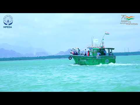 Responsible Fishing for Sustainable Future | Azadi Ka Amrit Mahotsav | MPEDA | NETFISH