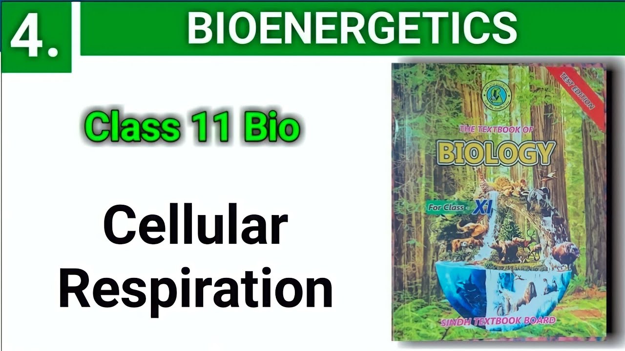 Cellular Respiration Biology Book