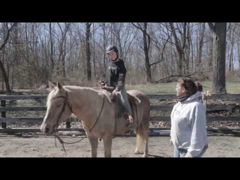Horses Gaits- How to get the correct lead at the lope or canter. - YouTube