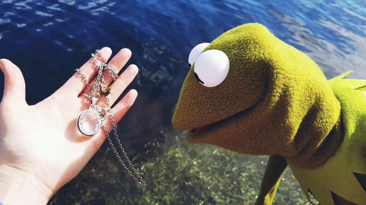 Kermit The Frog find treasure in the lake #KermitTheFrog #Treasure # ...