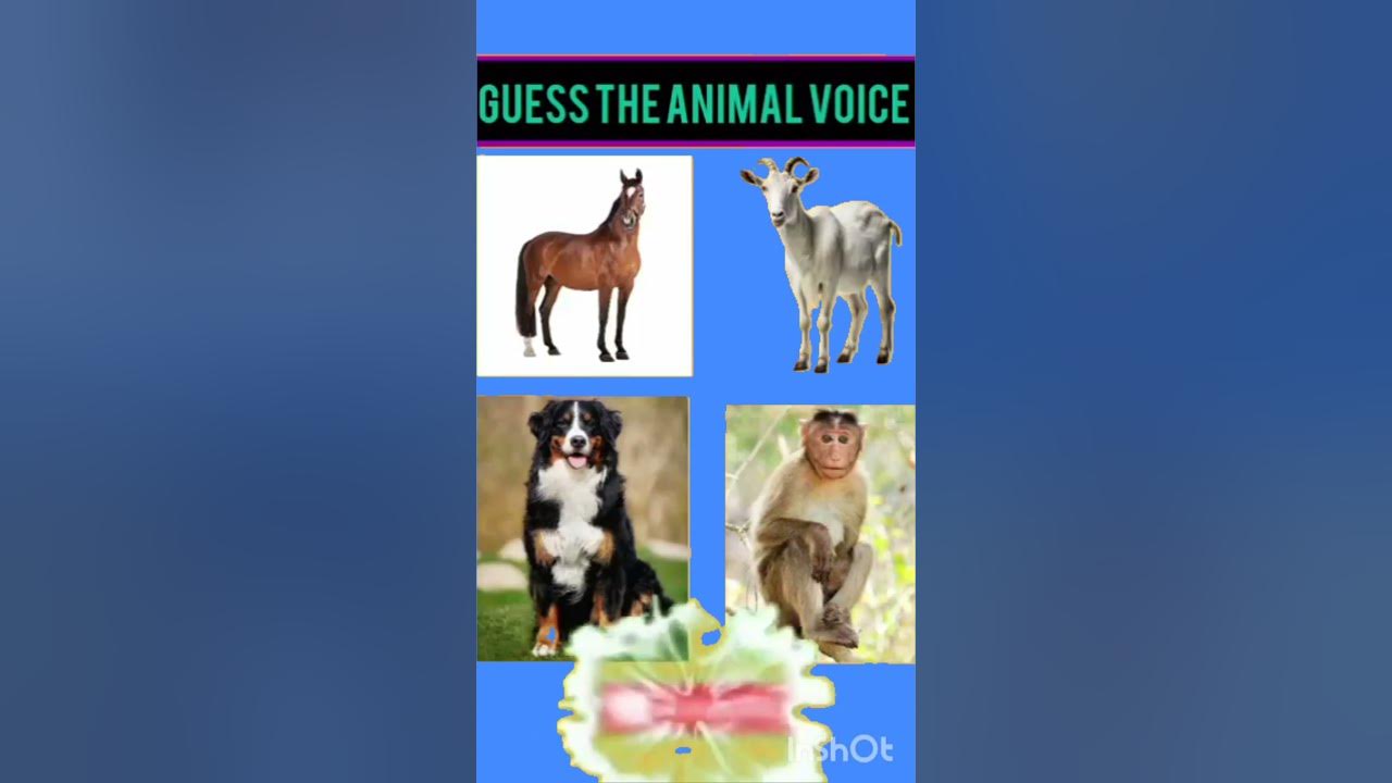 Guess the animal voice for Indian forest animals IQ level test # ...