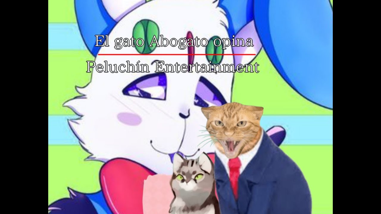 Una reflexión felina acerca de Peluchin Entertainment - YouTube