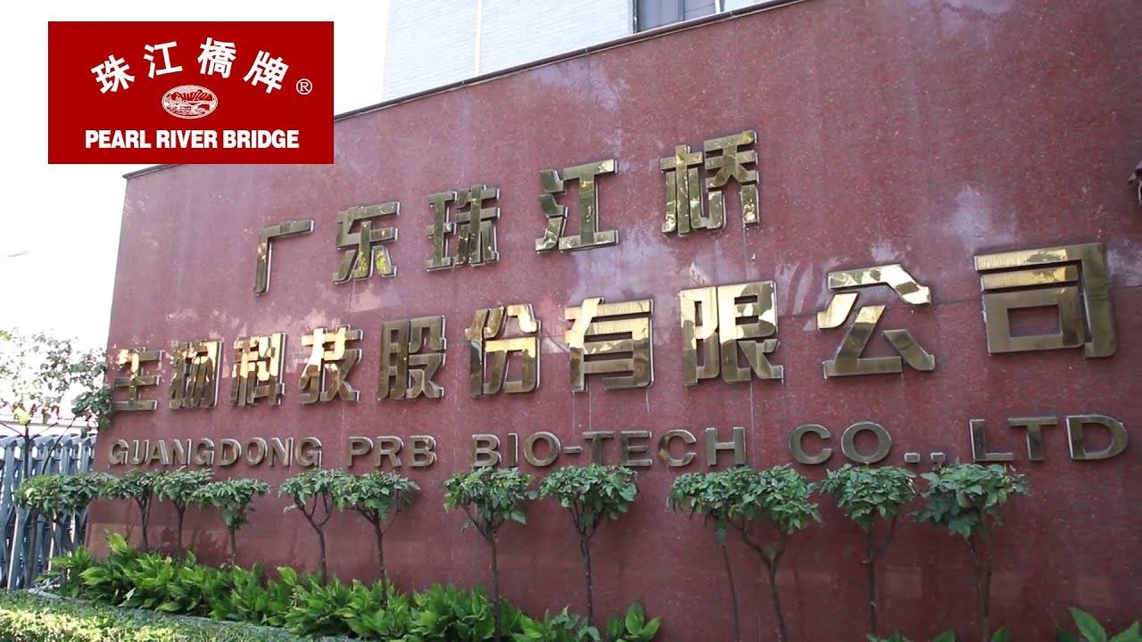 Welcome To Pearl River Bridge Factory - YouTube