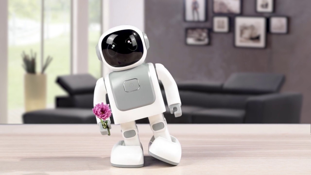 Robot Robert - YouTube