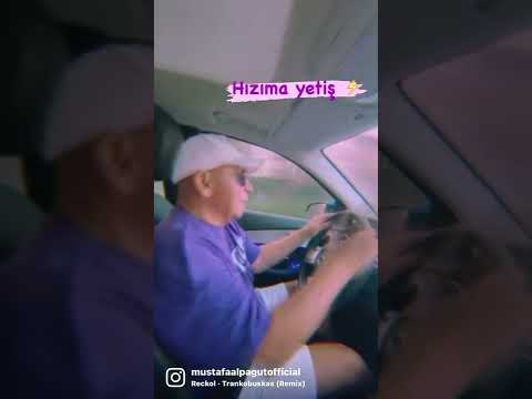 Akıma ayak uyduralım dedik 😂⚡️ #shorts