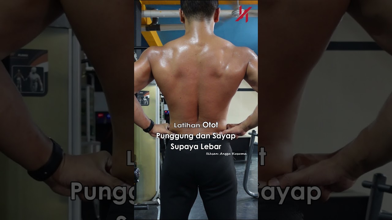 Latihan Otot Sayap dan Back supaya Lebar - YouTube